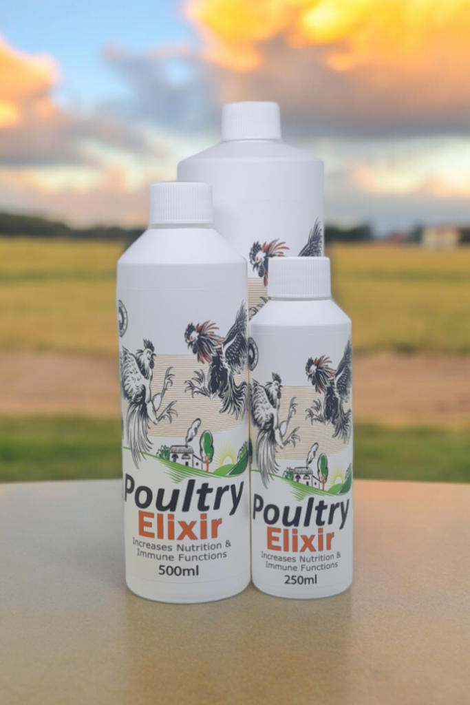 Poultry Elixir – Animal Wellbeing