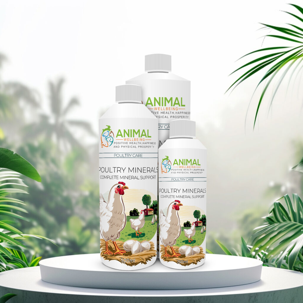 Poultry Minerals - Complete Mineral Support - Animal Wellbeing